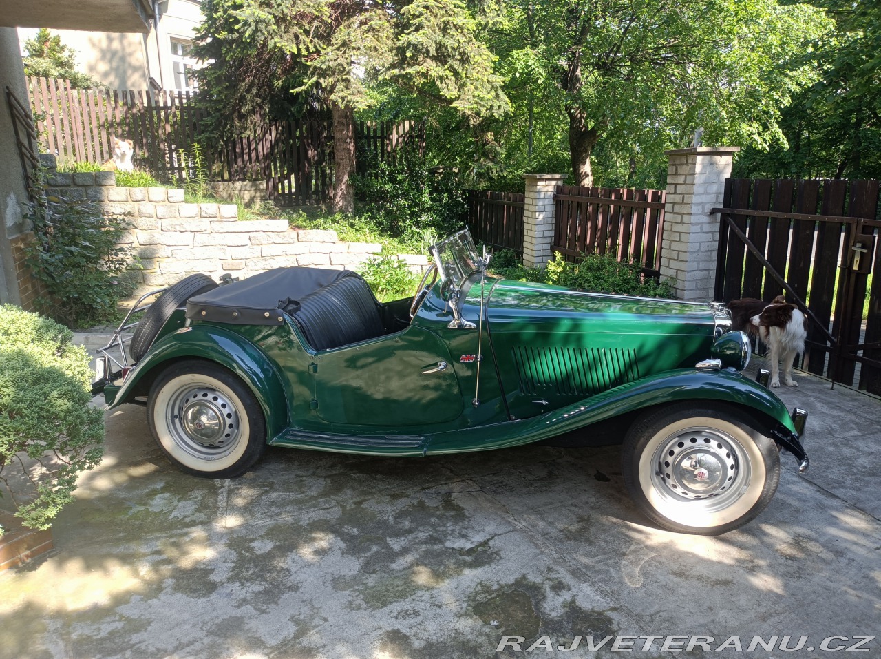 MG D-Type MG TD Midget 1952