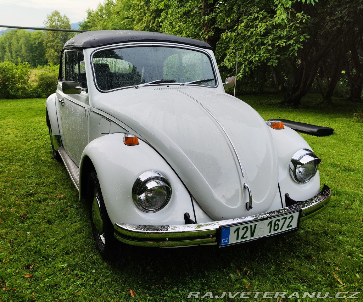 Volkswagen Brouk Convertible 1968
