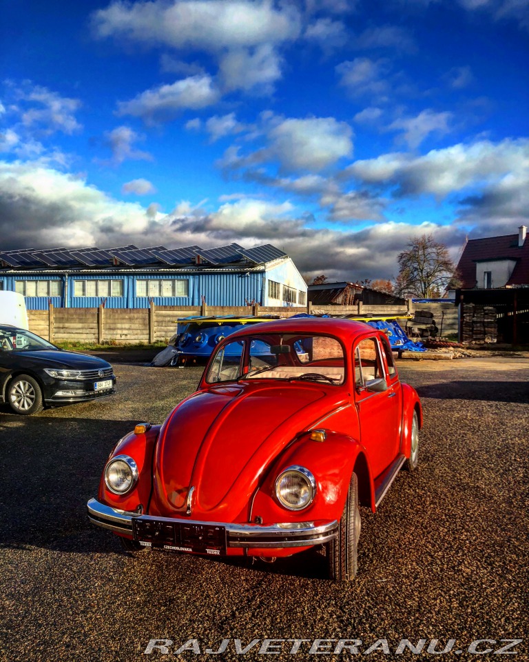 Volkswagen Brouk 1975