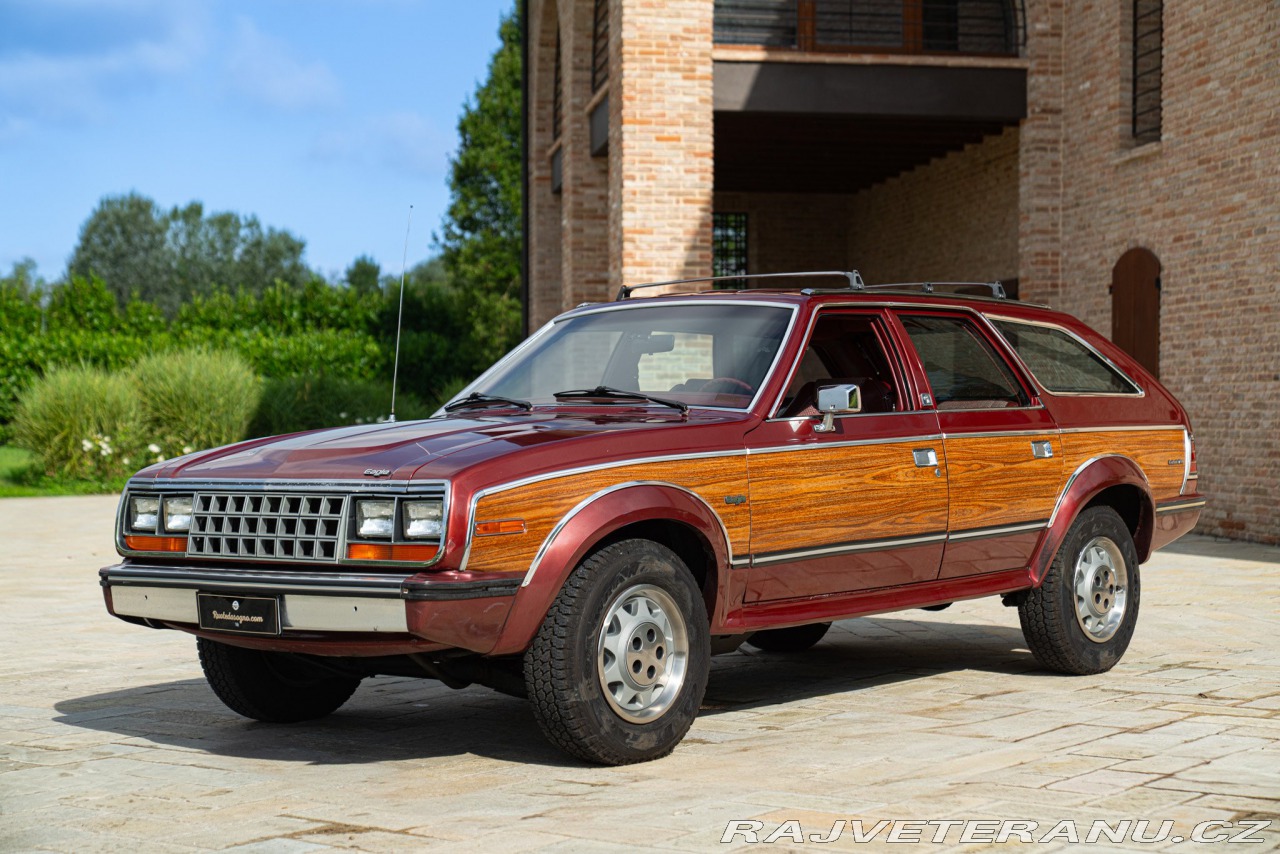 AMC EAGLE 1987